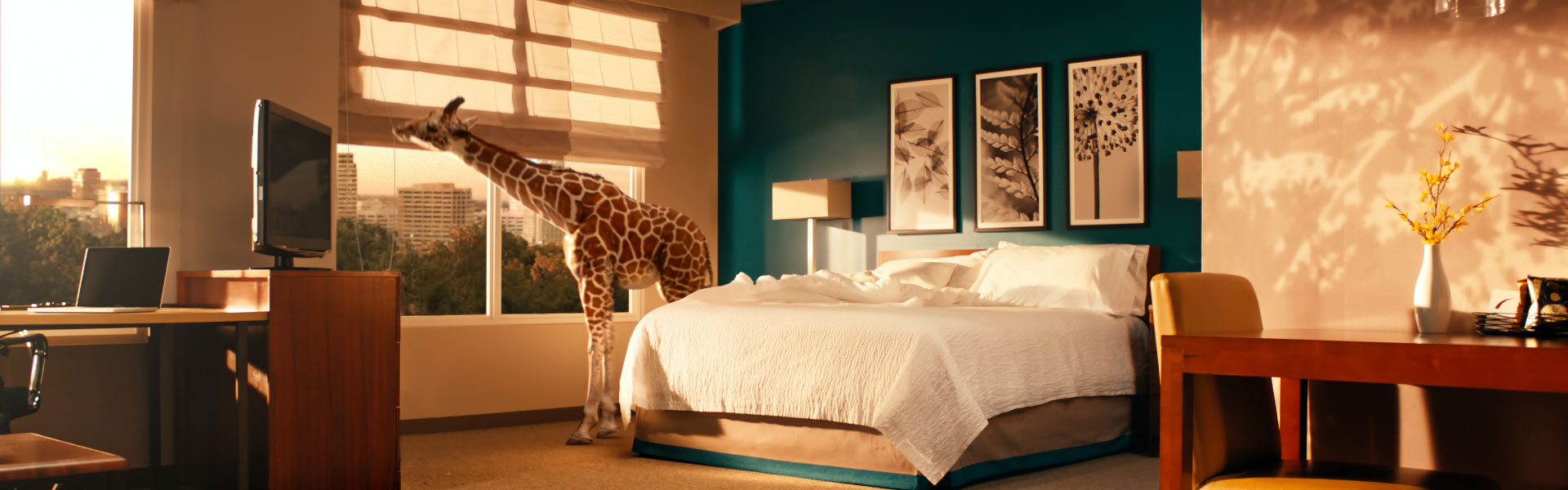 Residence Inn – Ahmer Kalam